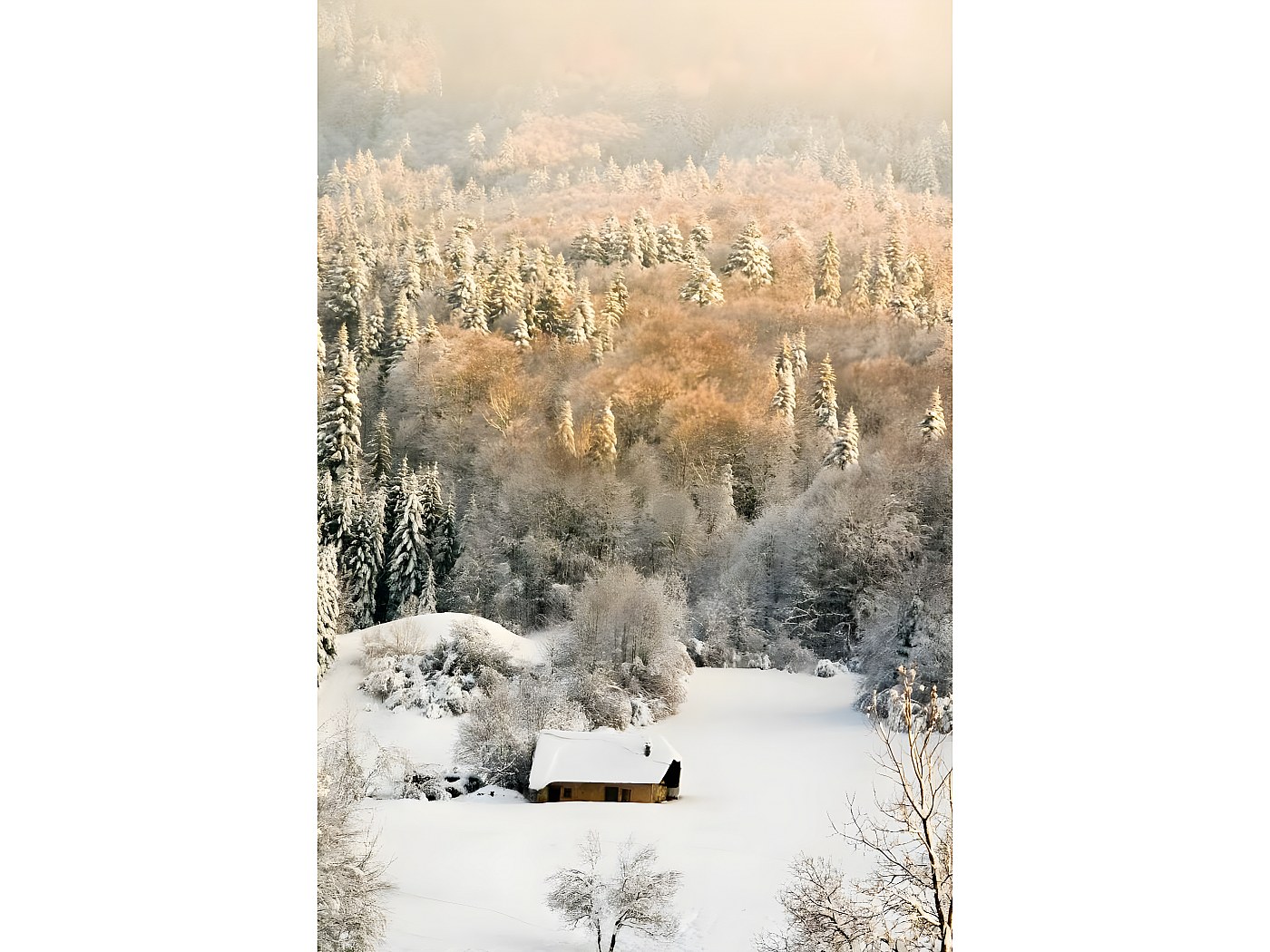 Tableau sur toile hiver automnal 30x45 cm