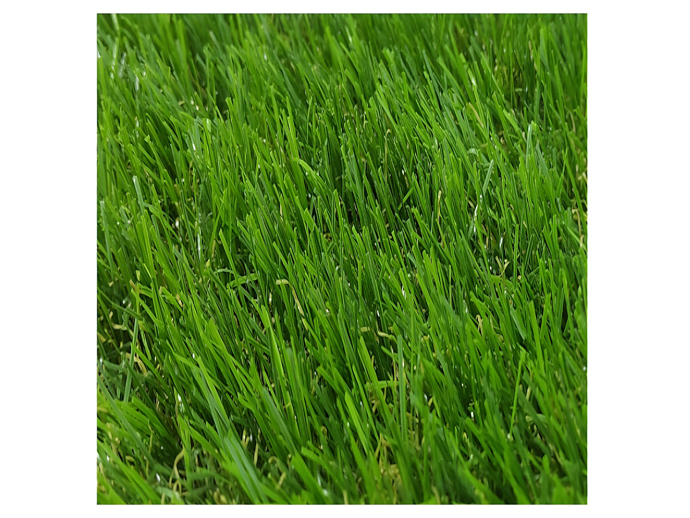 Rollo de Césped Artificial 40mm Medida 200X1000 CM