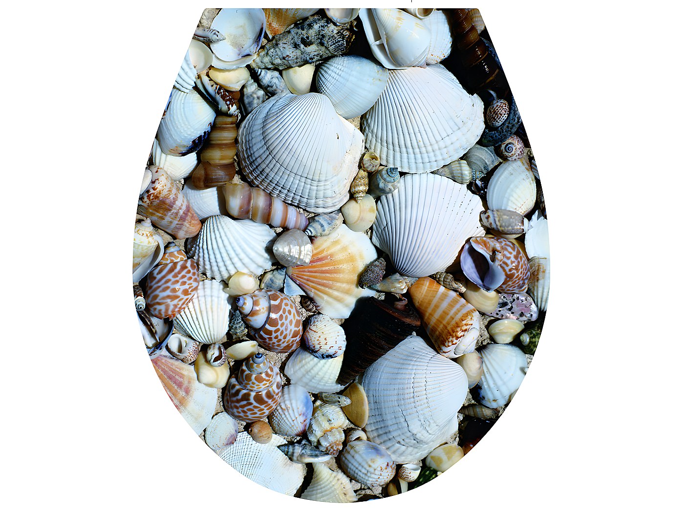 Shell 'Water Adesivo Set della copertura WC WC 32x38cm