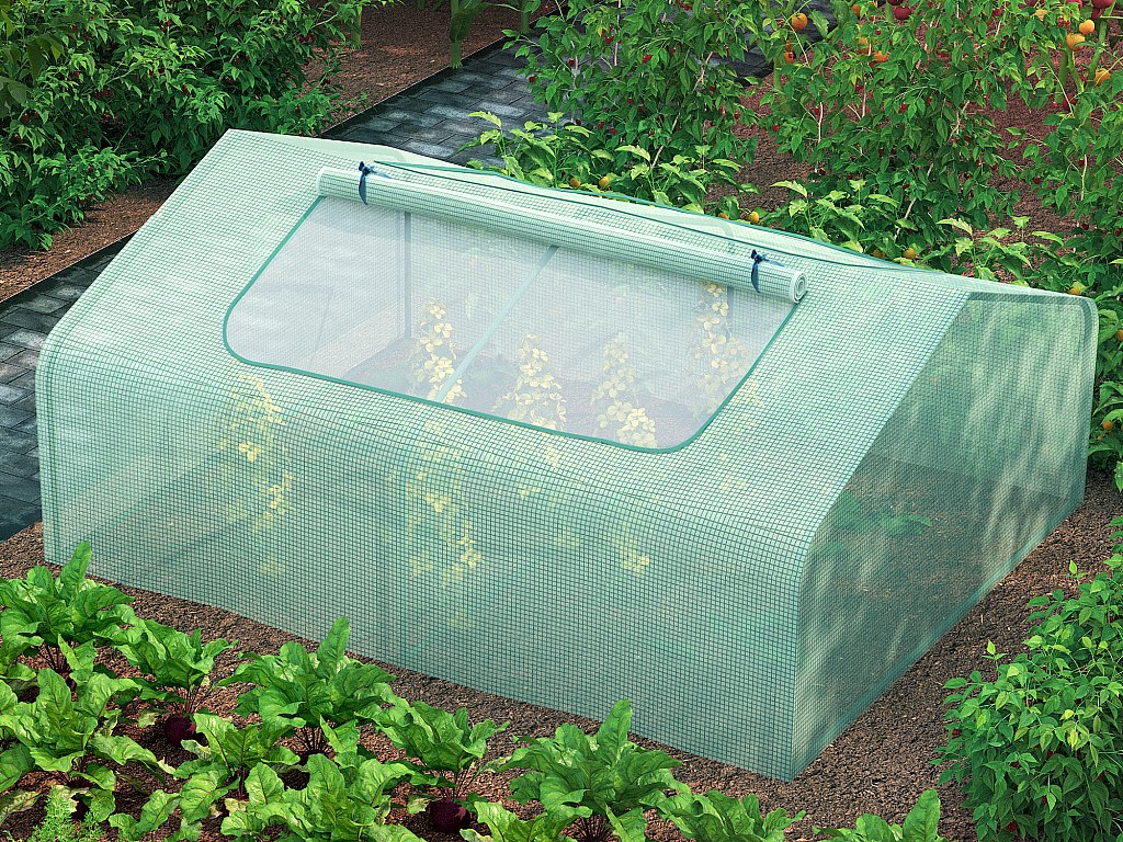 Mini serre de jardin