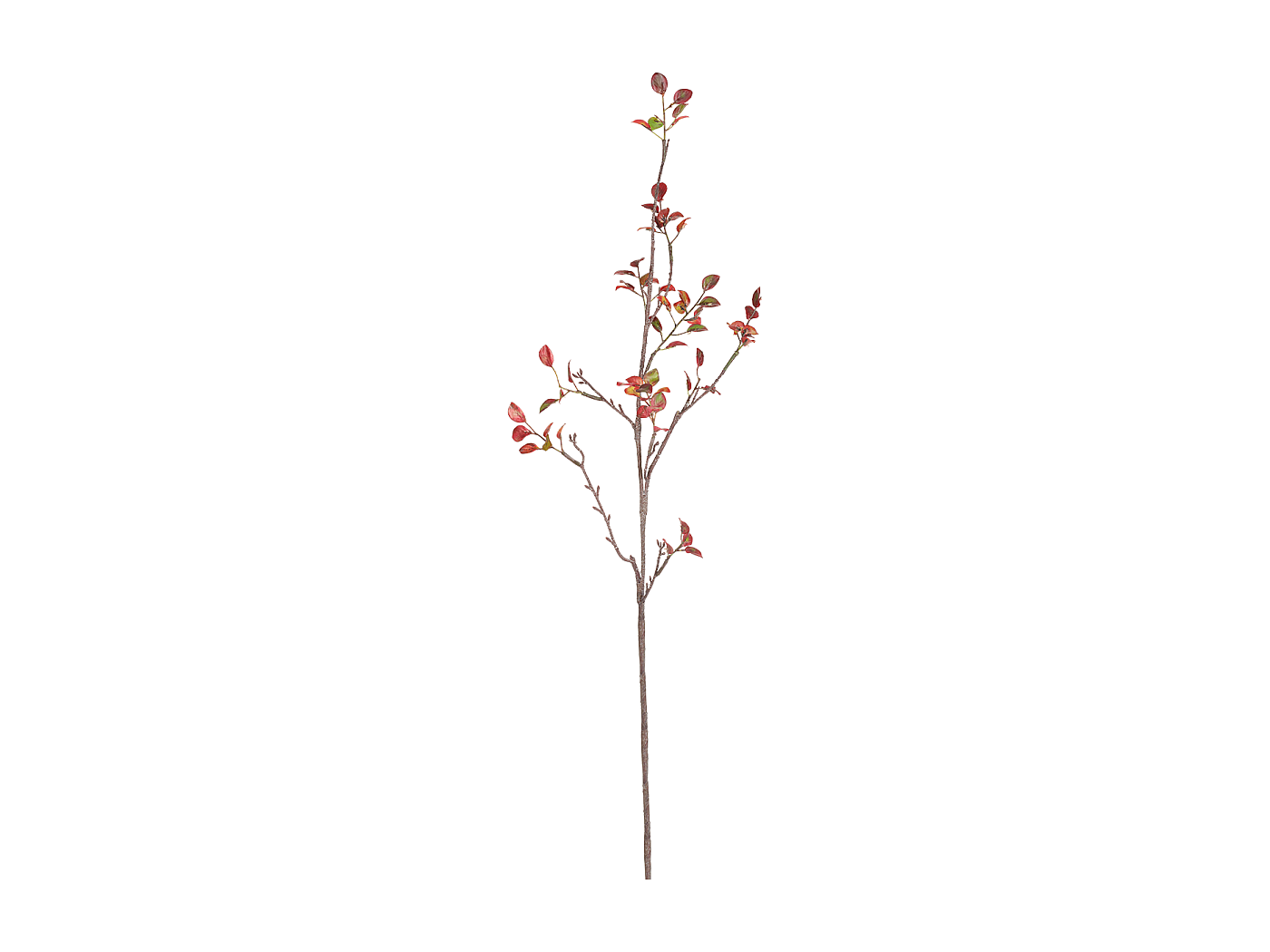 Branche avec petites feuilles rouges h90
