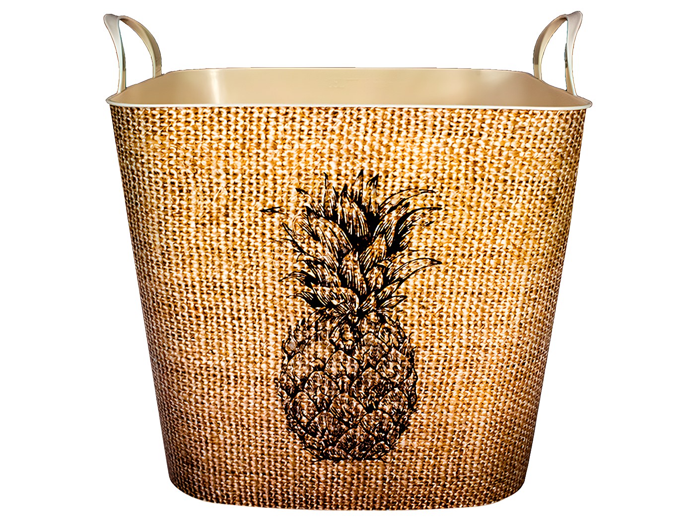 panier 25l iml ananas 35x34x35