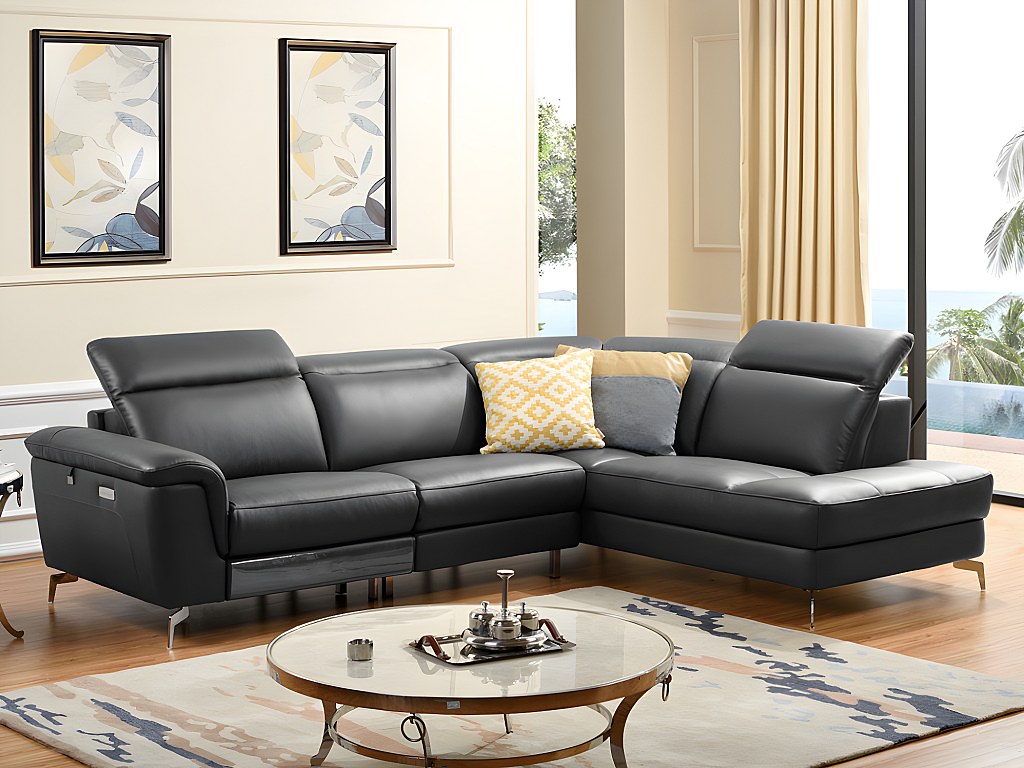 Ledersofa Design