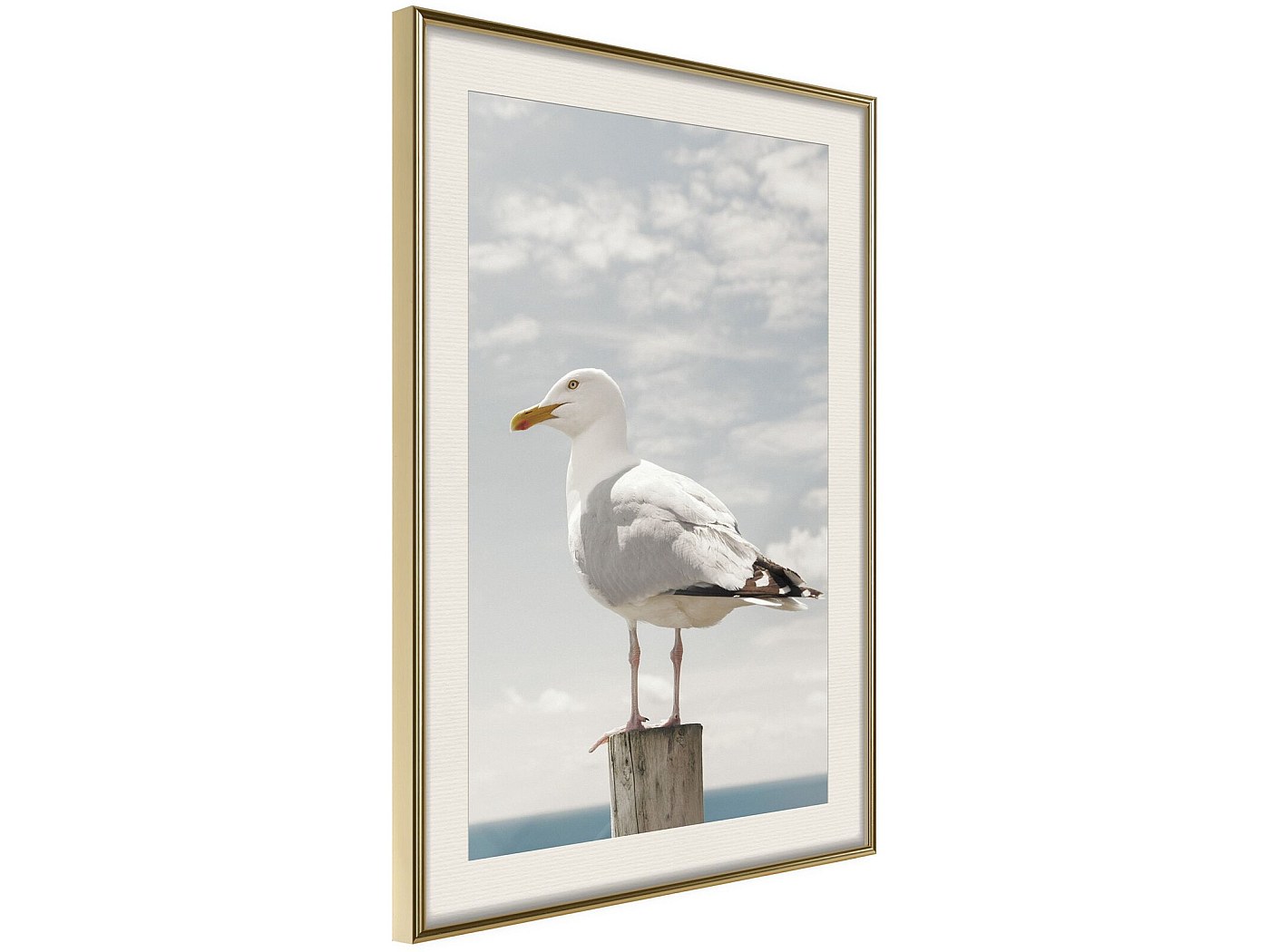 Tableau cadre Mouette curieuse - 20 x 30 cm