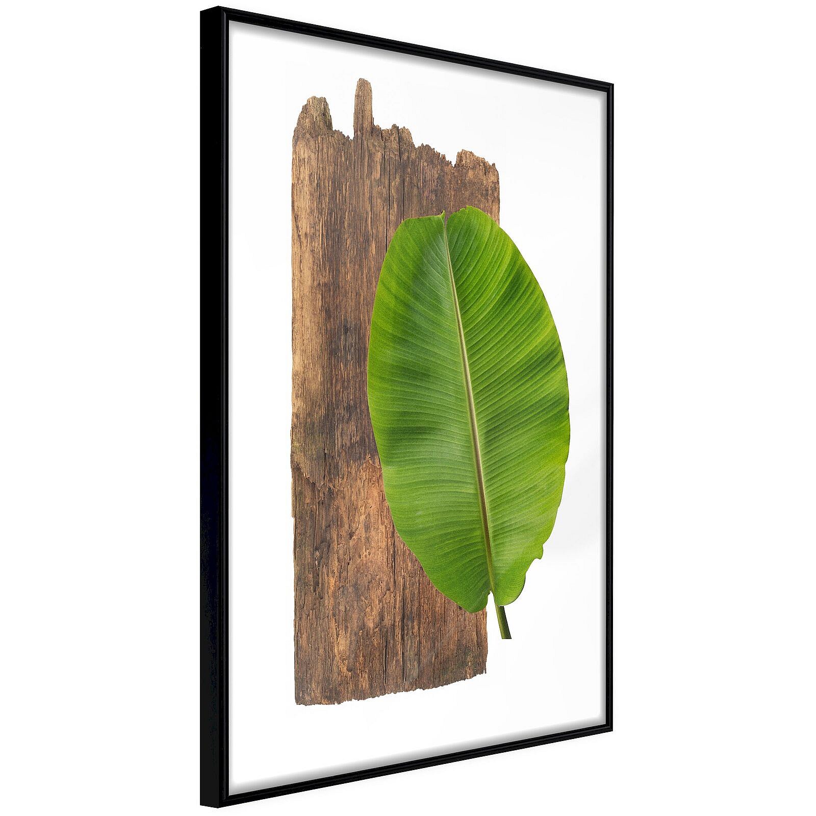 Tableau cadre Nature forestière - 40 x 60 cm