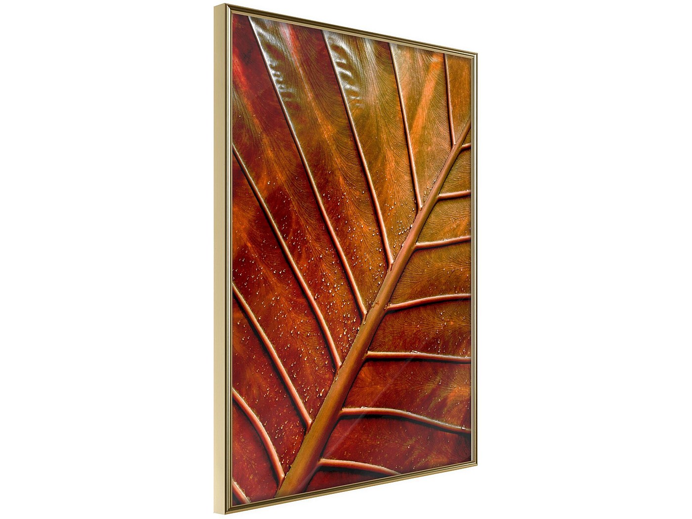 Tableau cadre Feuille de bronze - 20 x 30 cm