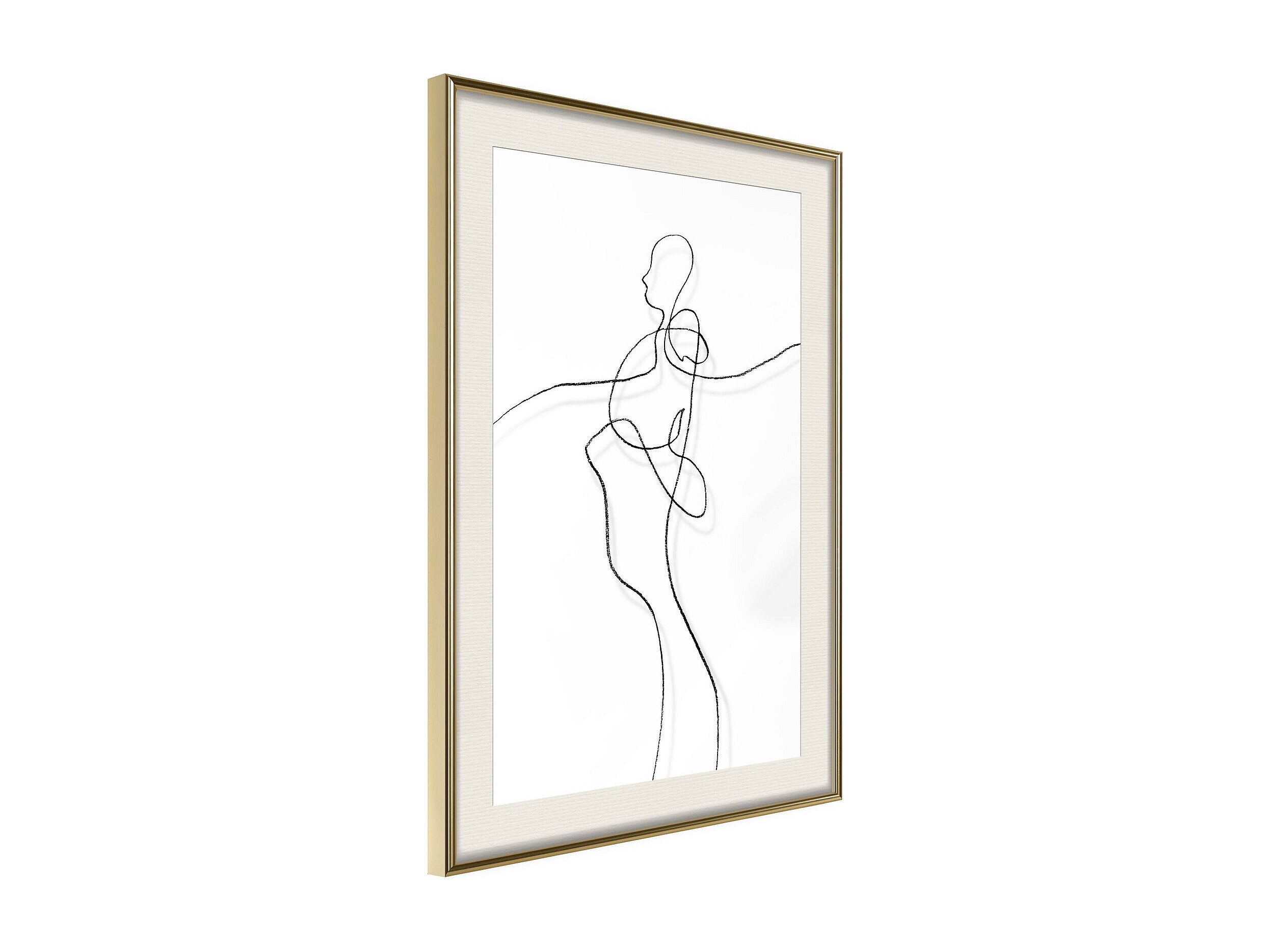 Tableau cadre Enchevêtrement - 30 x 45 cm