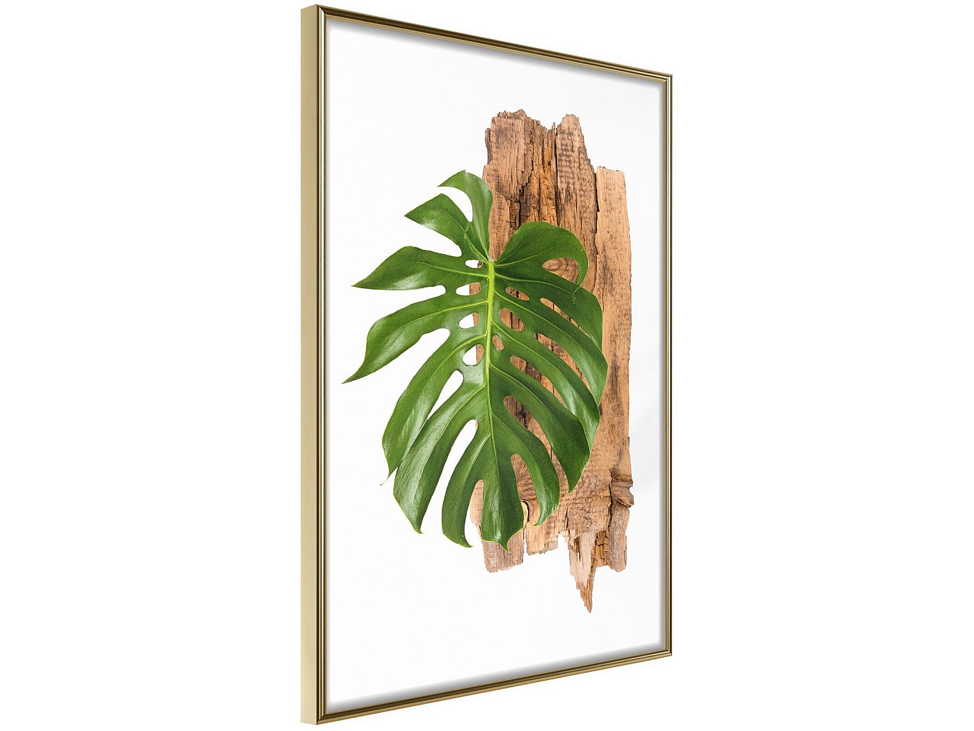 Tableau cadre Étude feuillue - 40 x 60 cm