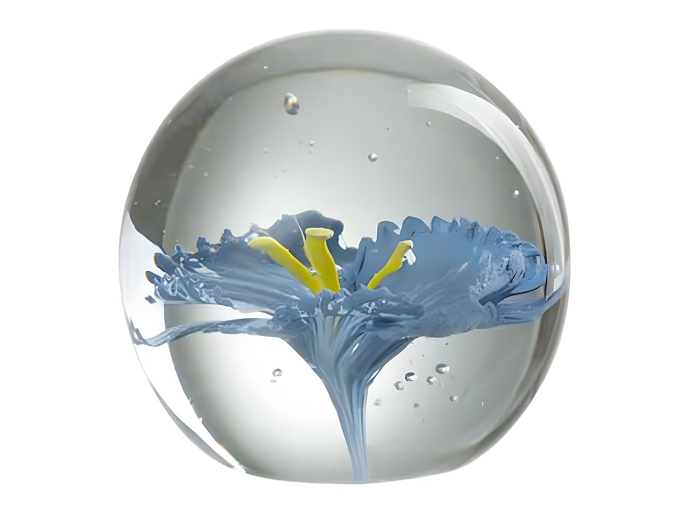 Presse-Papier Rond Design "Fleur" 8cm Bleu