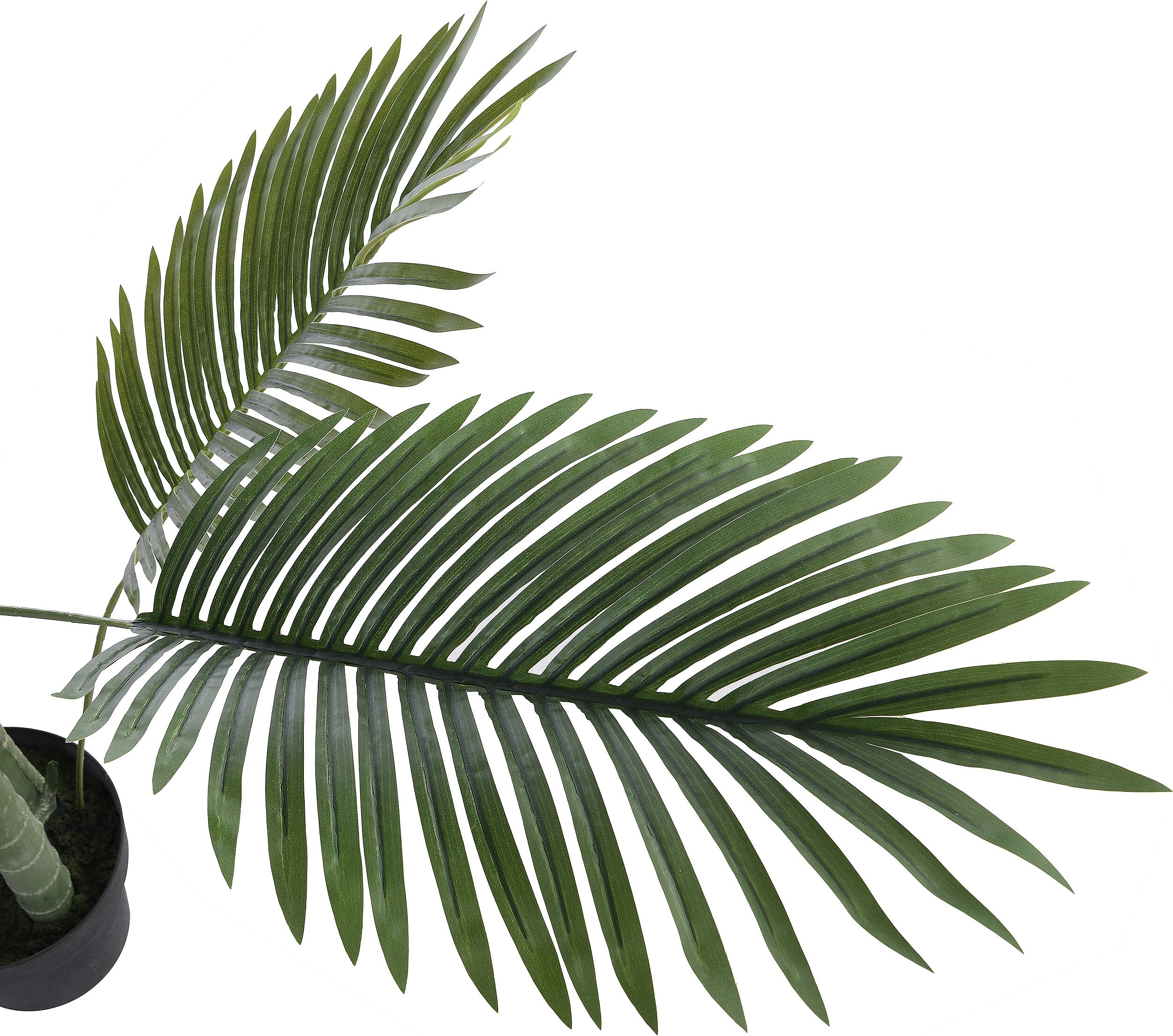 Sztuczna palma, roślina, krzew - Wys.190 cm x Szer. 80 cm - Kolor ...