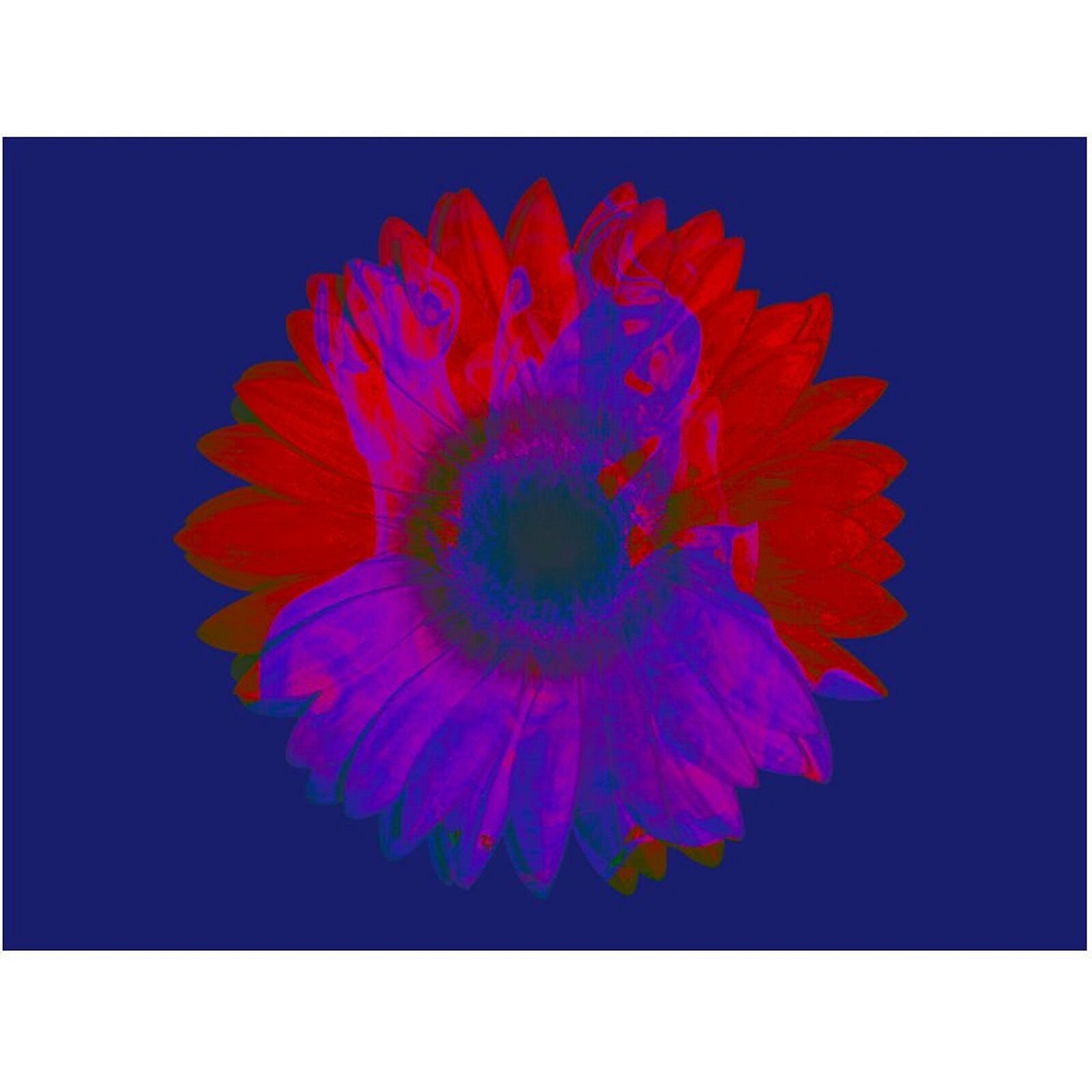 Papier peint se métamorphoser - 250 x 193 cm