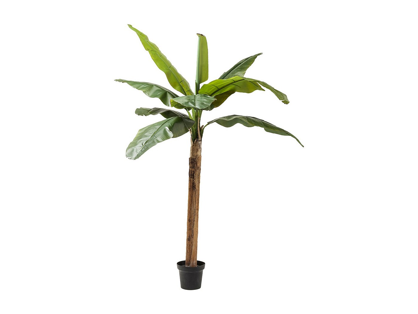 Décoration Plante Banana Tree 190cm