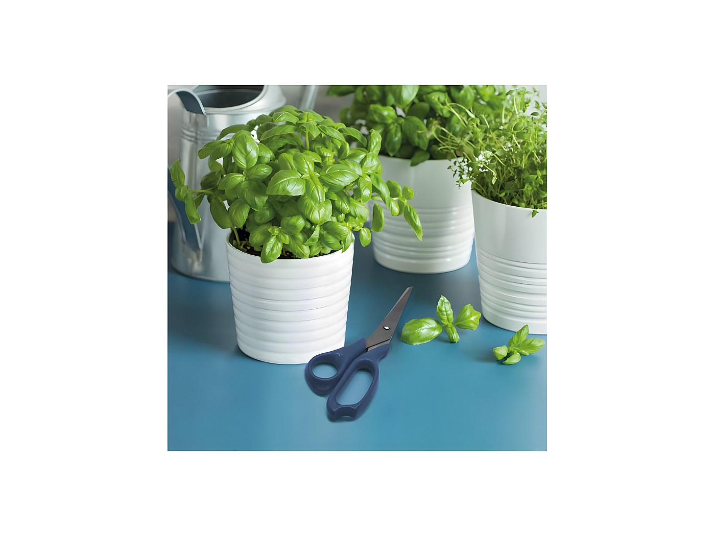 Ciseaux de cuisine Fackelmann Elemental