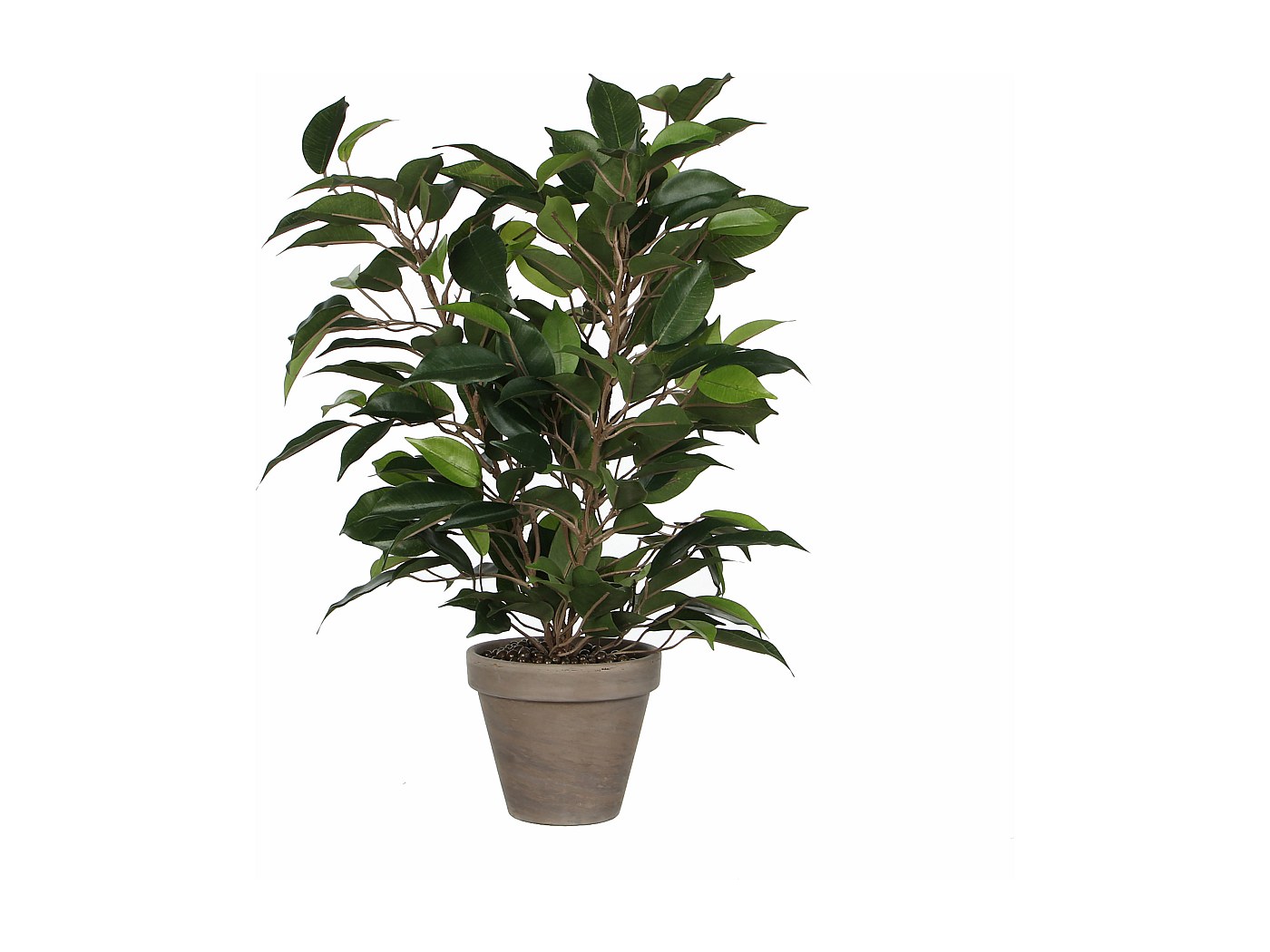 Plante artificielle en polyester et terre cuite - Ø30 x 40 - Vert ...