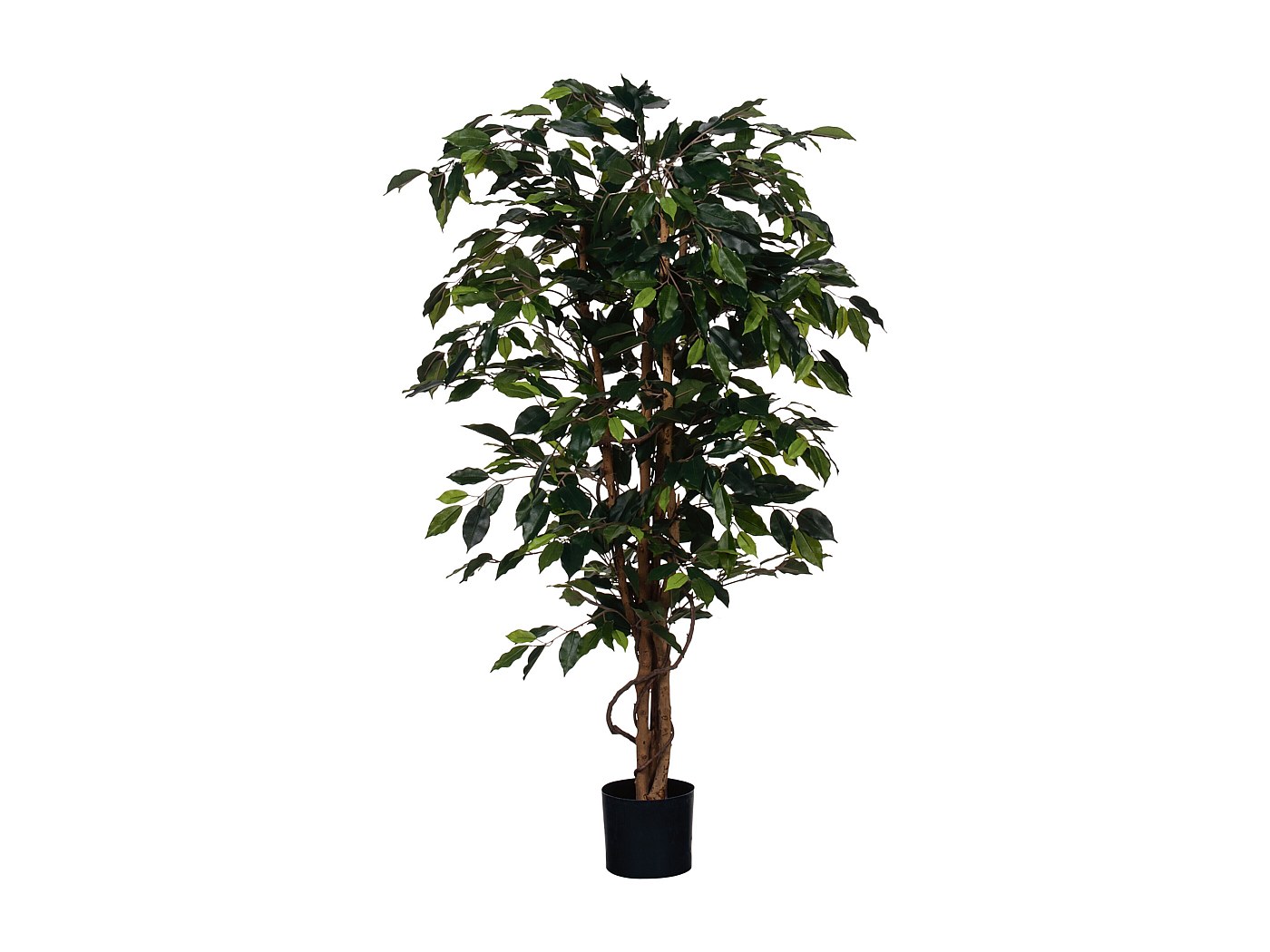 Plante artificielle en polyester et plastique - 150 x Ø85 - Vert - FICUS