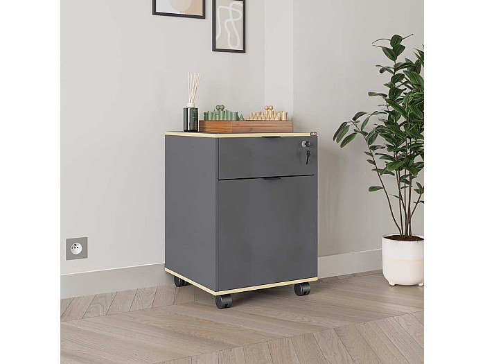 Caisson de rangement sur roulettes Ria