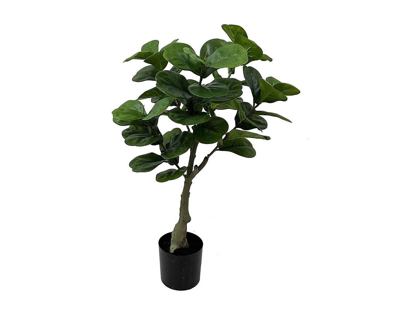 Ficus artificiel - Vert