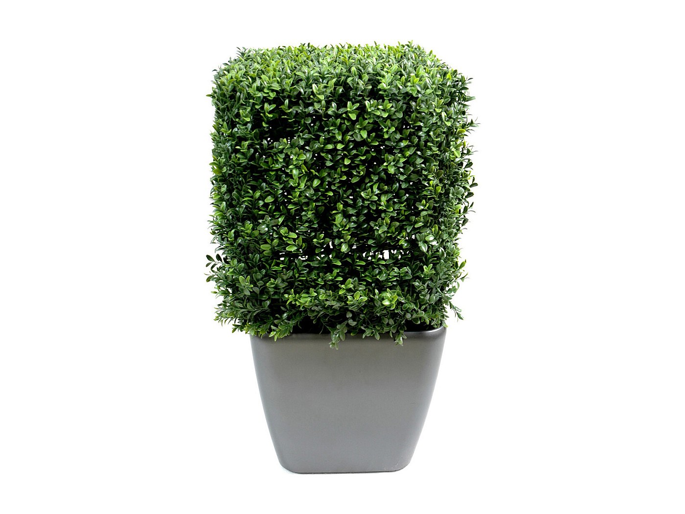 Plante artificielle haute gamme Spécial extérieur, Buis carré ...