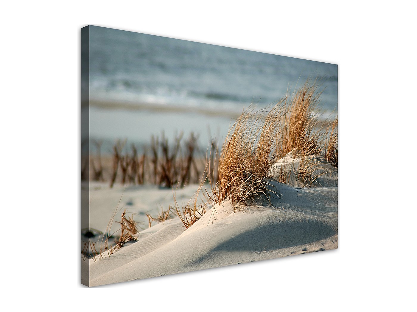 Quadro su tela, Dune by the mare - 60x40