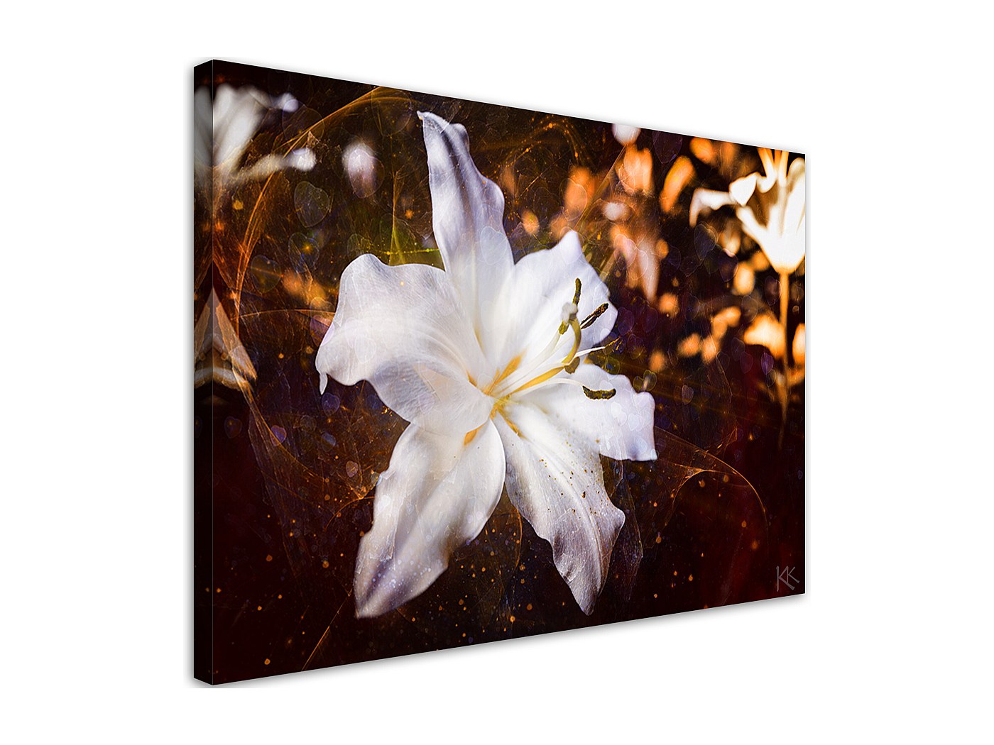 Quadro su tela, Lily bianco su uno sfondo marrone - 60x40