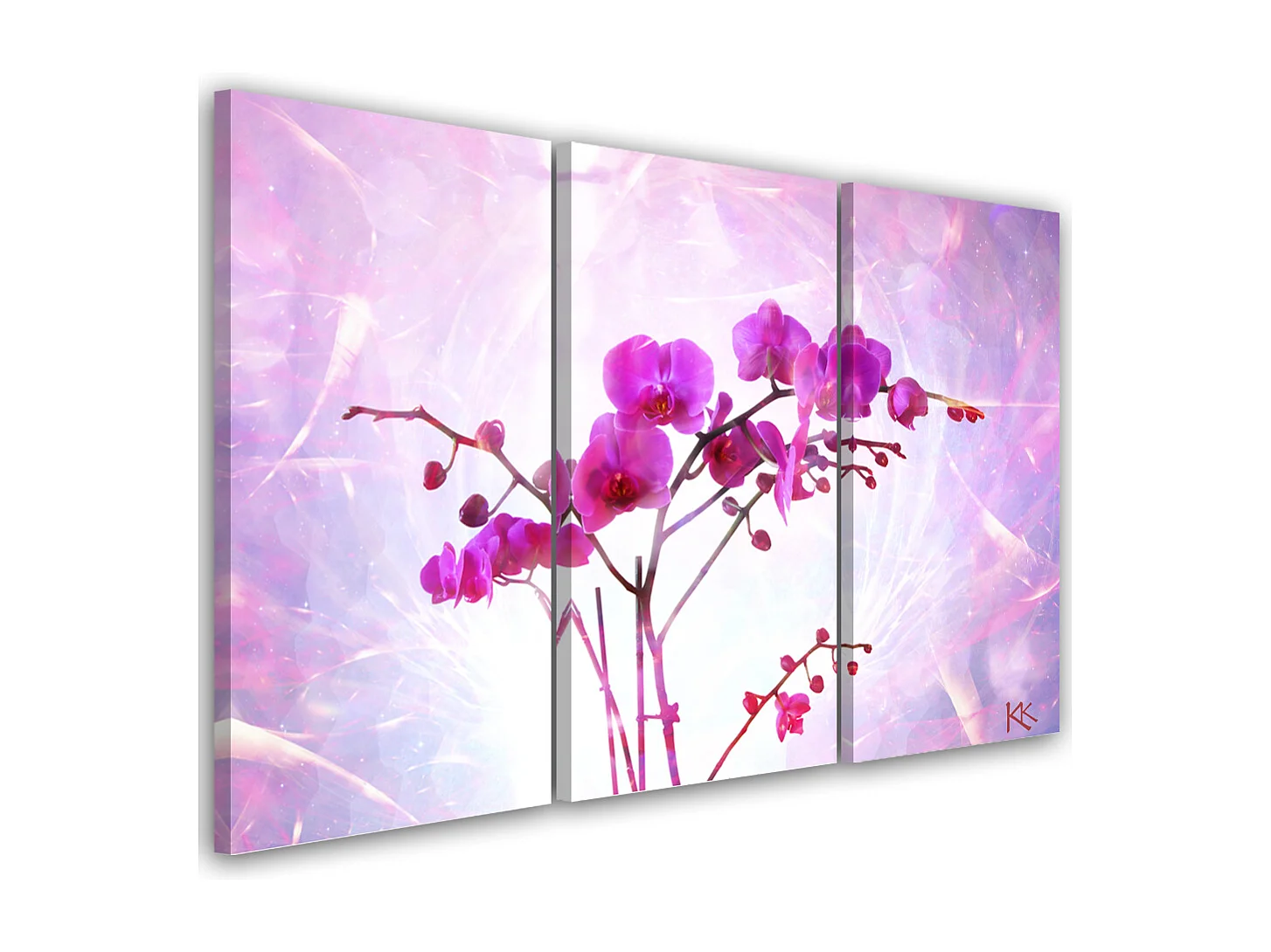 Quadro su tela 3 paneli, Orchidea essenziale - 150x100