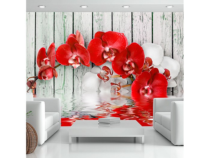 Fotomurale - Orchidea color rubino - 200x140