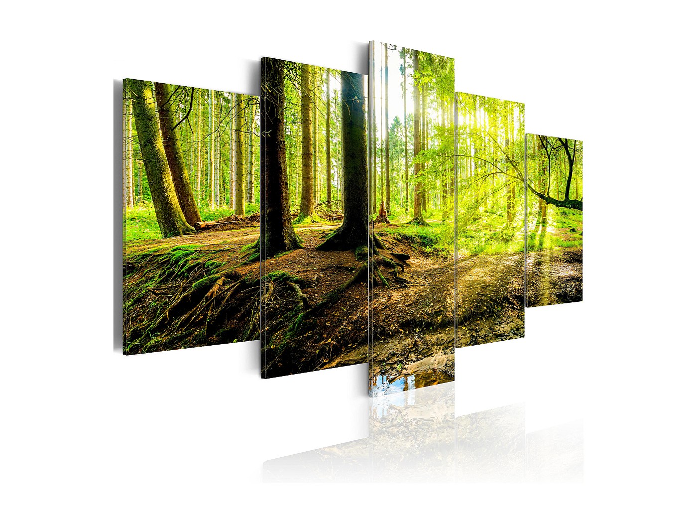 Quadro - Poetry of a Forest - 200x100