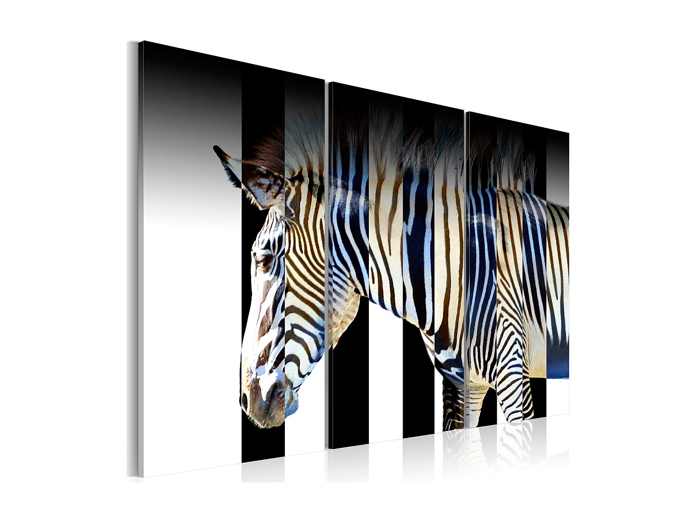 Quadro - Strisce - 60x40