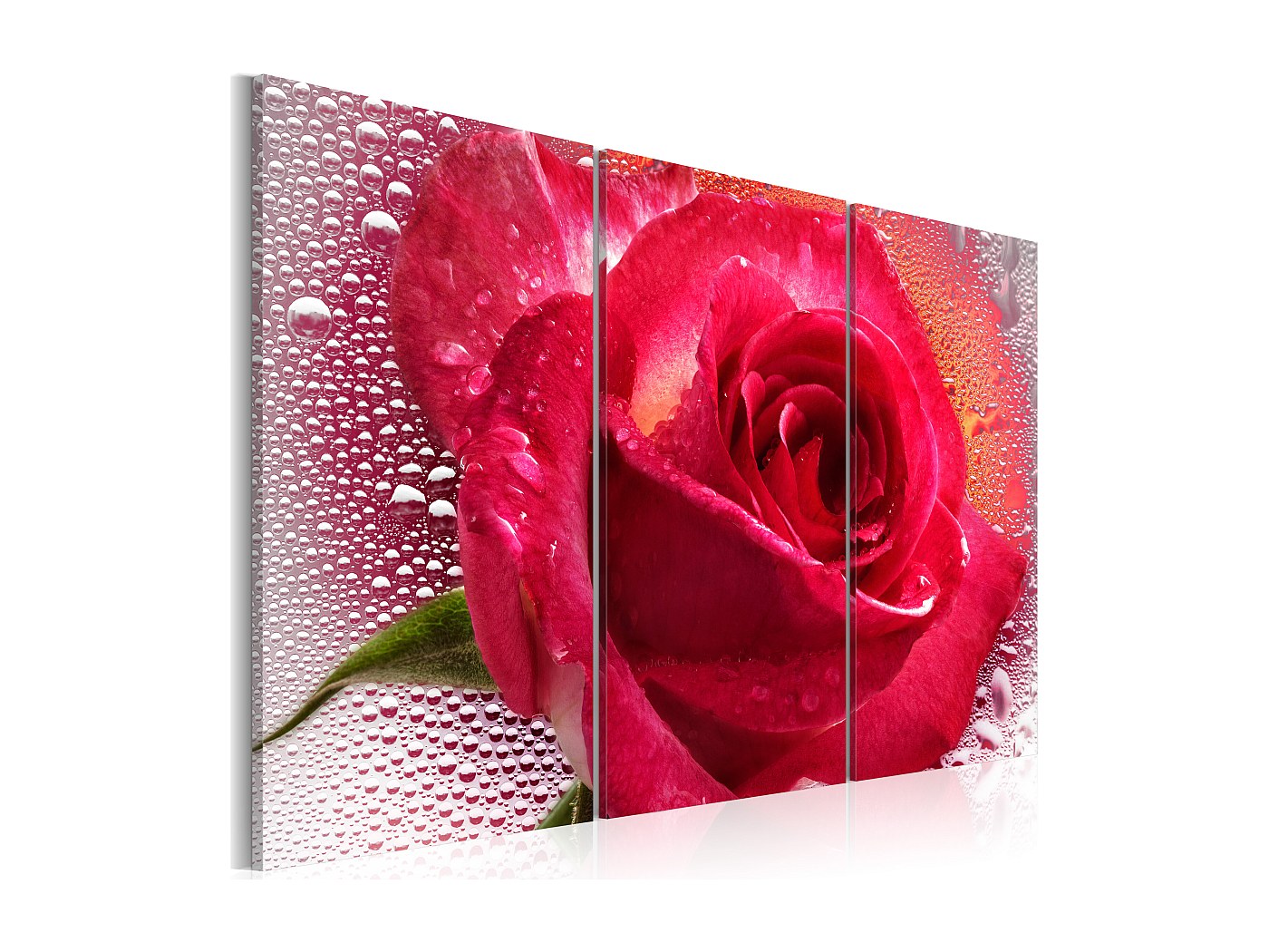 Quadro - Lady Rose - triptych - 60x40
