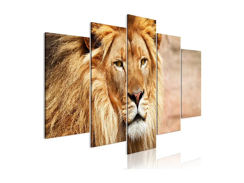 Quadro - The King of Beasts (5 Parts) Wide Orange - 200x100