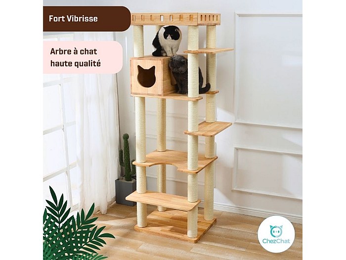 Arbre à chat - Fort Vibrisse