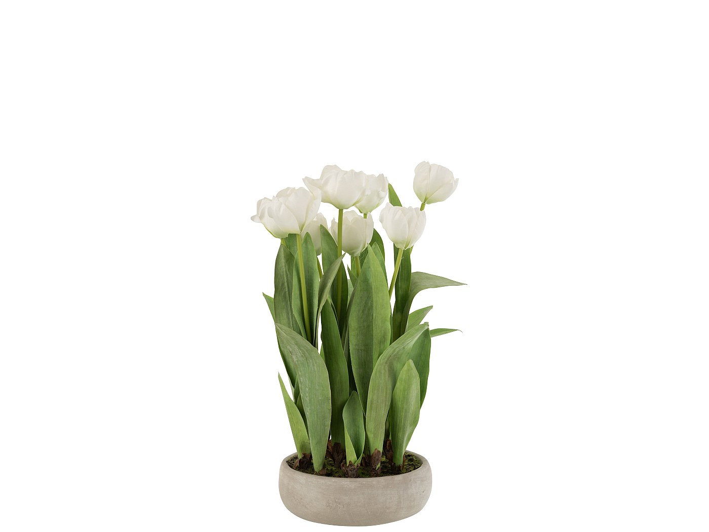 Tulipe + pot ciment gris plastique blanc/vert h. 48 cm