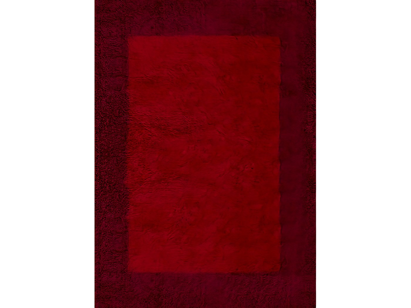 SHAGGY - Tapis à Bordures - Rouge 240 x 340 cm