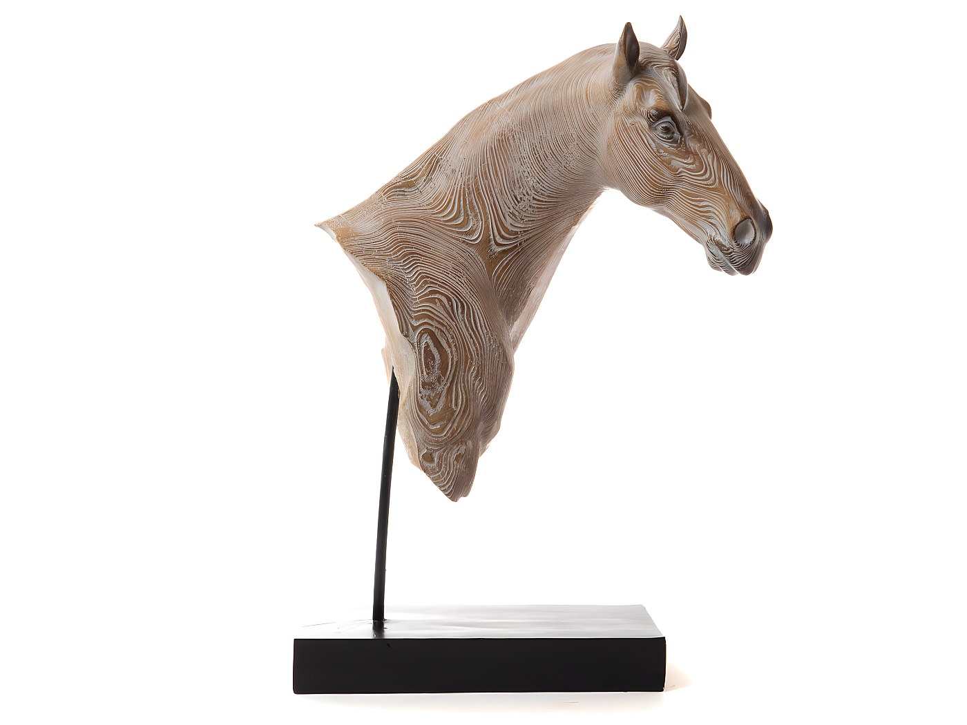 Tête de cheval nature