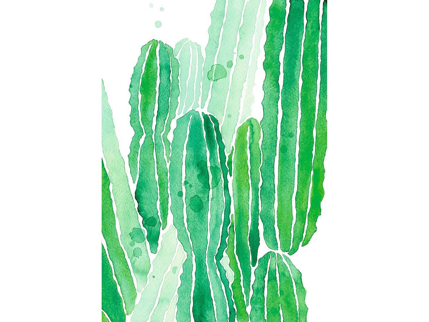 Tableau en verre acrylique Cactus 50 x 70 cm