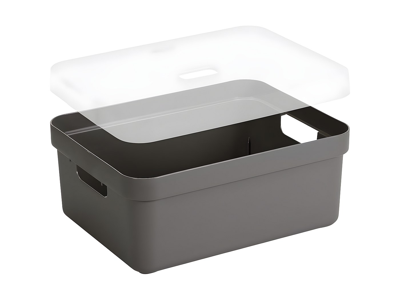 Caja de almacenamiento con tapa transparente Sigma home Box 24L