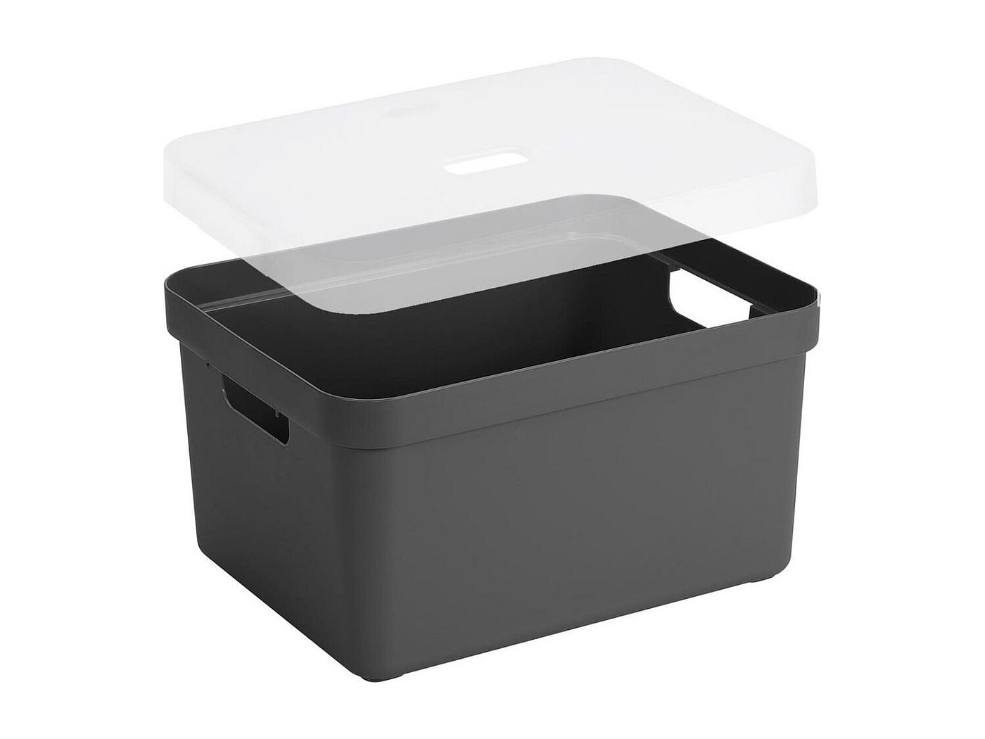 Caja de almacenamiento con tapa transparente Sigma home Box 32 L